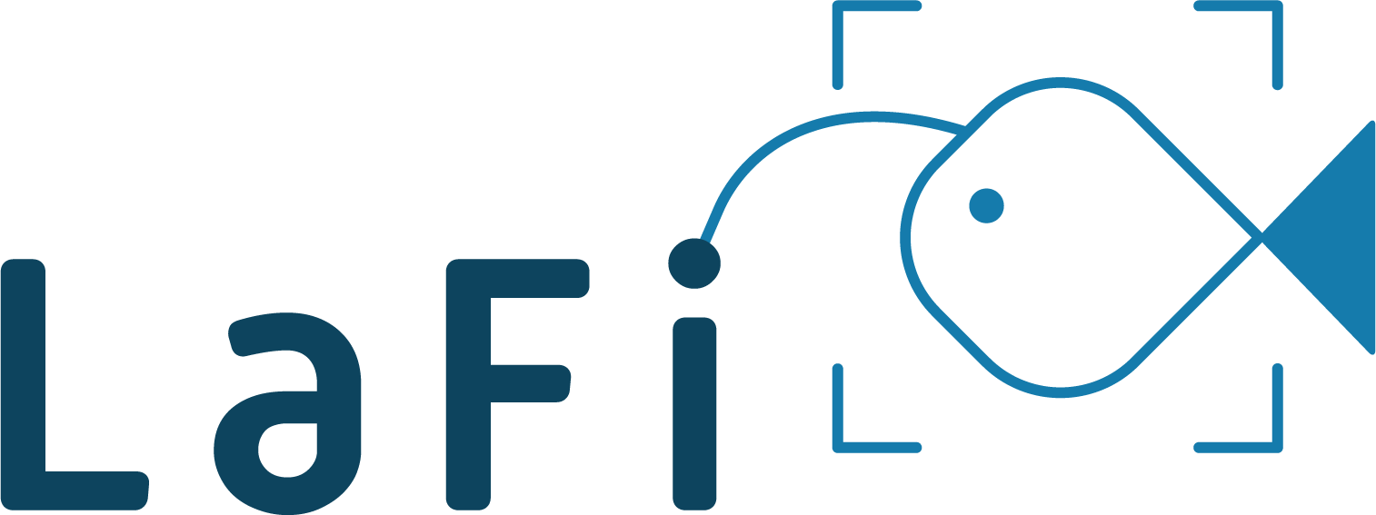 LaFi Werbefilmproduktion Heidenau - lafi-werbefilm.de